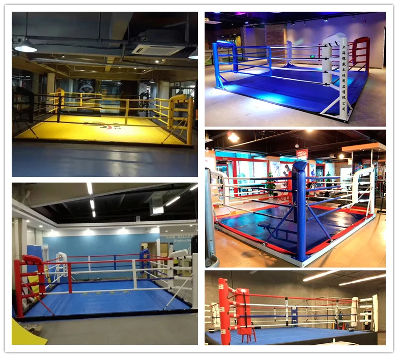 Professional Gym Training Taekwondo Wrestling Judo Flooring Boxing Ring ...