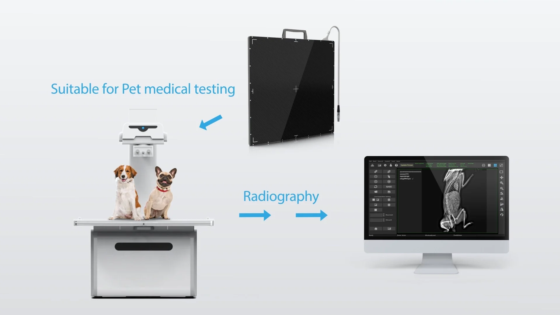Xray Medical 1717 Flat Panel Detector Vet Dog Horse Radiology Dr Rx ...