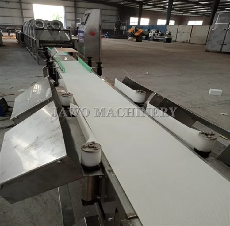 Sorting Machine Fish Automatic Fish Sorting Machine Automatic Fish ...