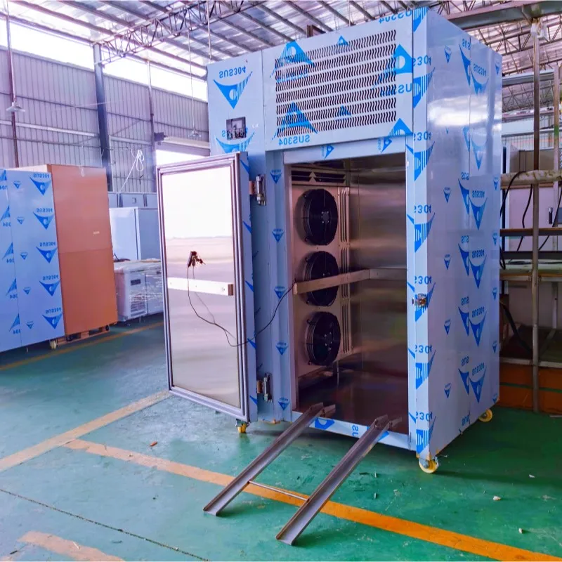 Chiller Quick blast Freezing Chiller Machine for Frozen semi-finished ...