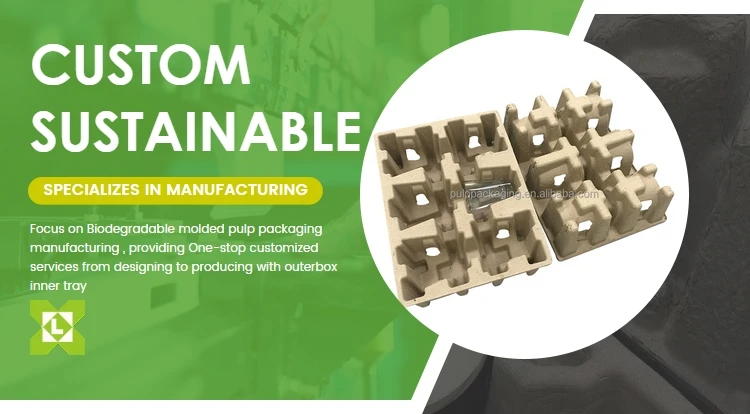 Dry Press Sugarcane Recycled Paper Pulp Tray Biodegradable And Eco ...