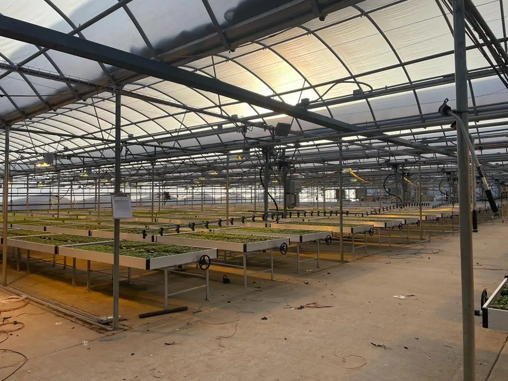 Greenhouse Ebb And Flow Table Rolling Benche Hydroponic System Grow ...
