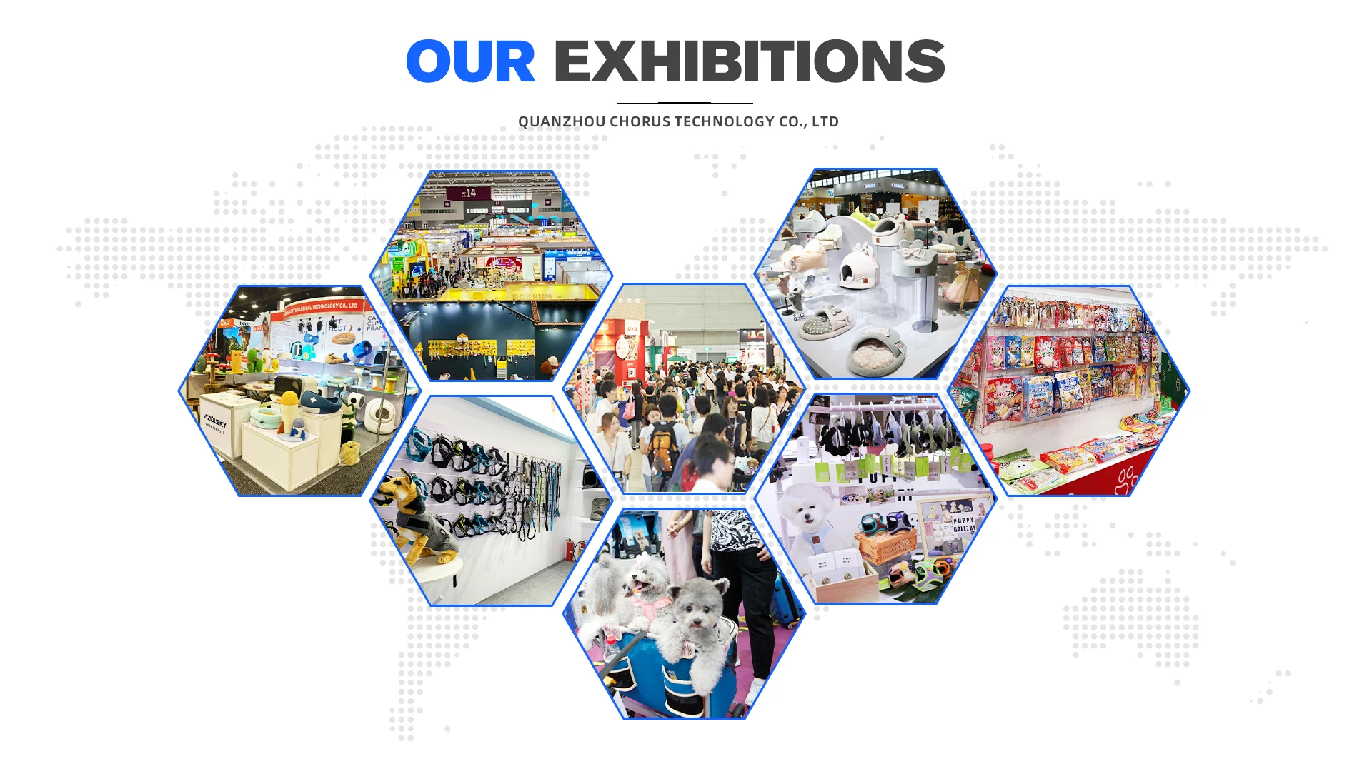 Company Overview - Quanzhou Chorus Technology Co LTD