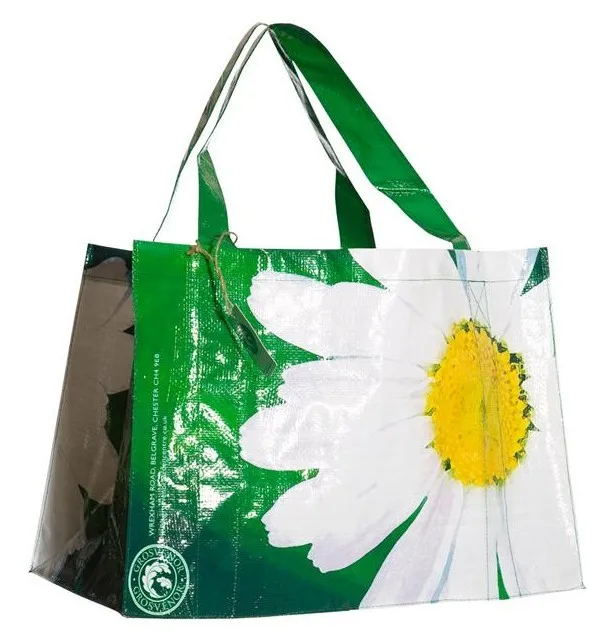 Oem Order Custom Print Pp Laminated Advertising Promotion Bag Pp Woven ...