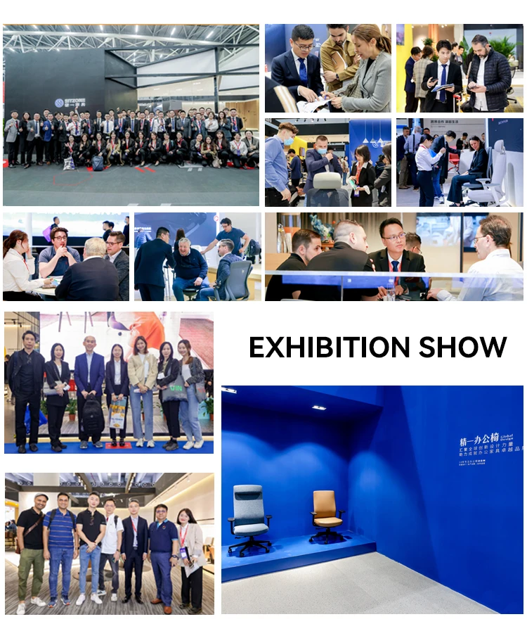 Sitzone Modern Dimensions College Auditorium Chairs