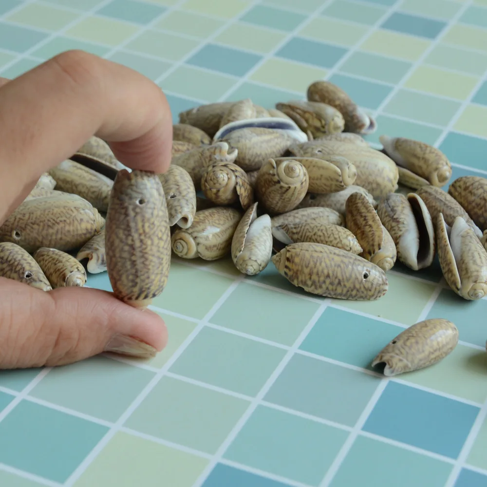 Natural Seashell Cowrie Shell Crafts With Hole For Jewelry Making - Buy ...