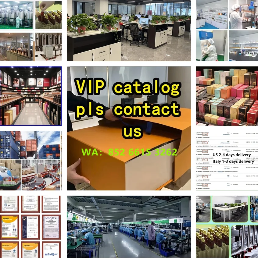 Company Overview - Lingxing Technology (shenzhen) Co., Ltd.