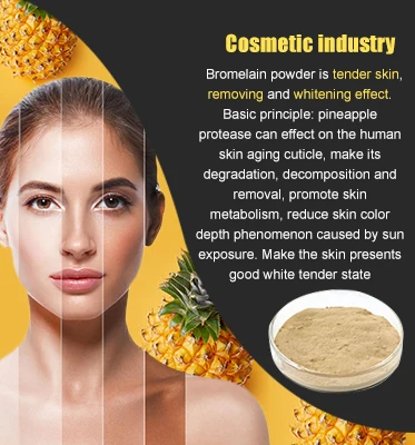 Non-gmo Bromelain Enzyme Powder 100% Natural Ingredients For Meat ...