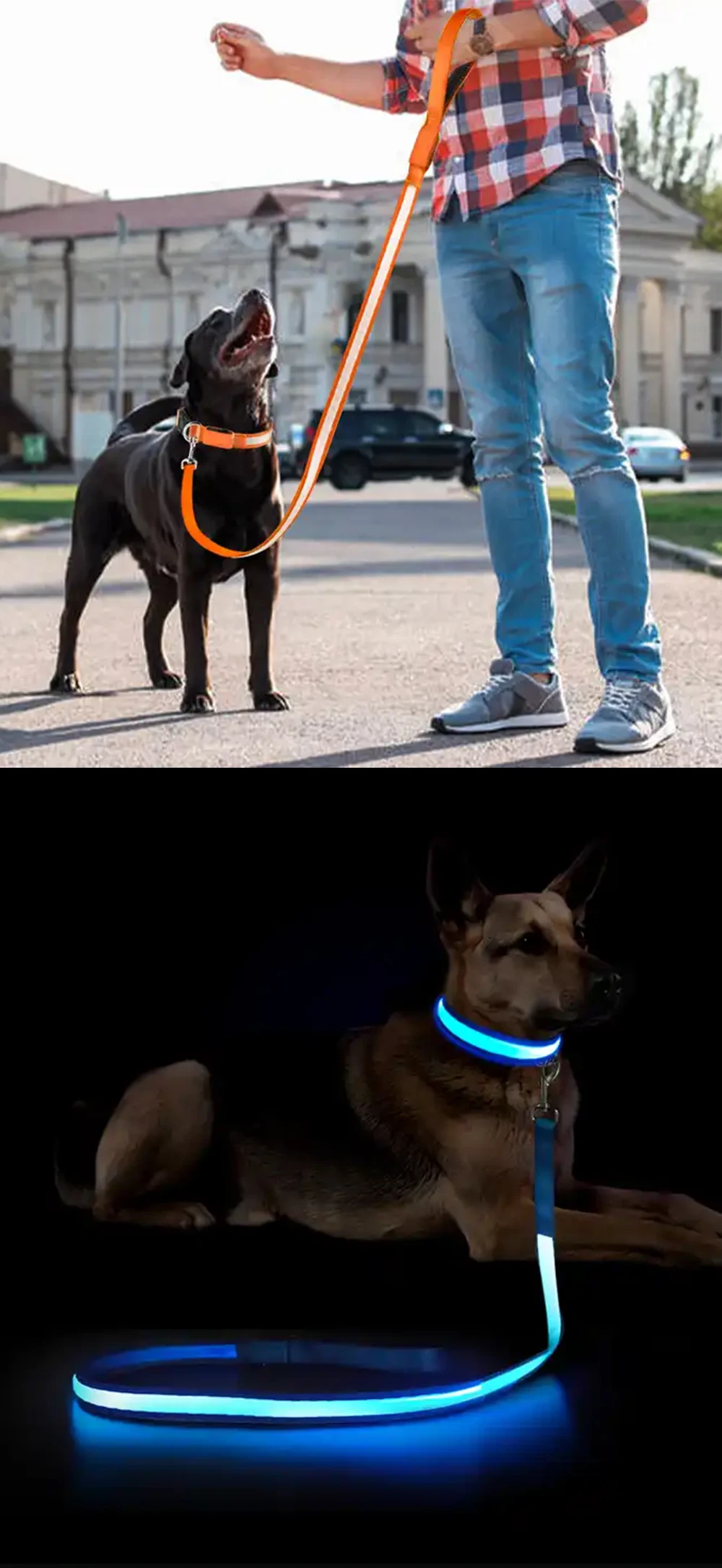 Pet Manufacturer Illuminating Walking Night Glowing Usb Rechargeable ...