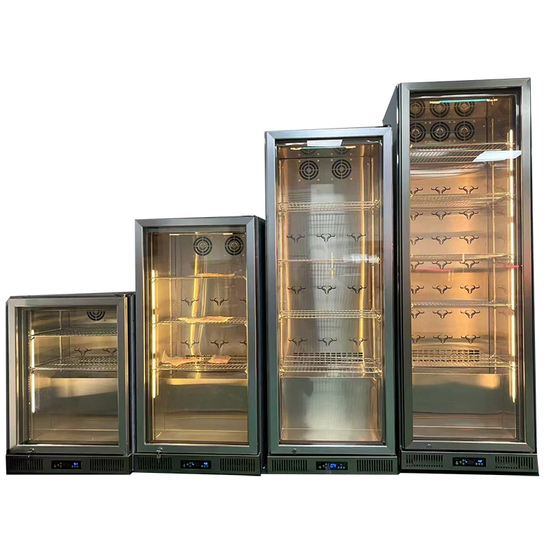 Upright Stainless Steel Dry Aging Cabinet for Beef & Pork