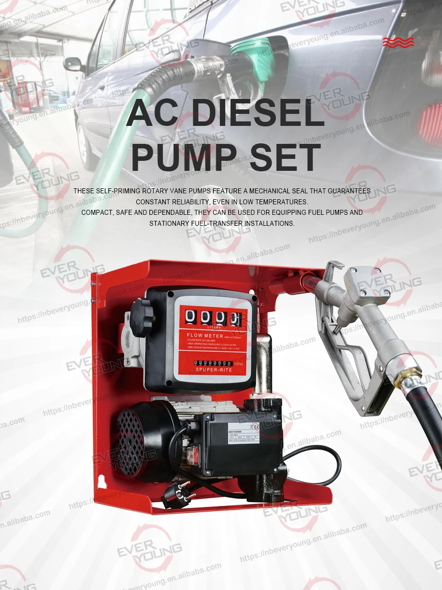 Metering Fixed Fuel Transfer Kit With Metal Gun 60l/min Ac 220v-240v ...