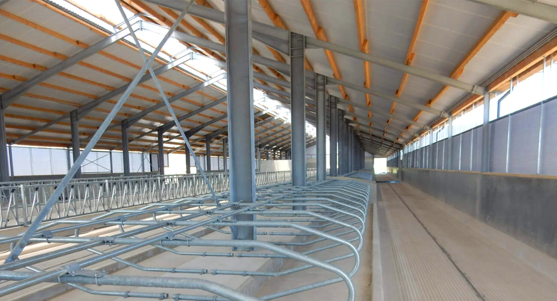 Modern Design Steel Structure Cow Cattle Dairy Milking Farm Shed ...