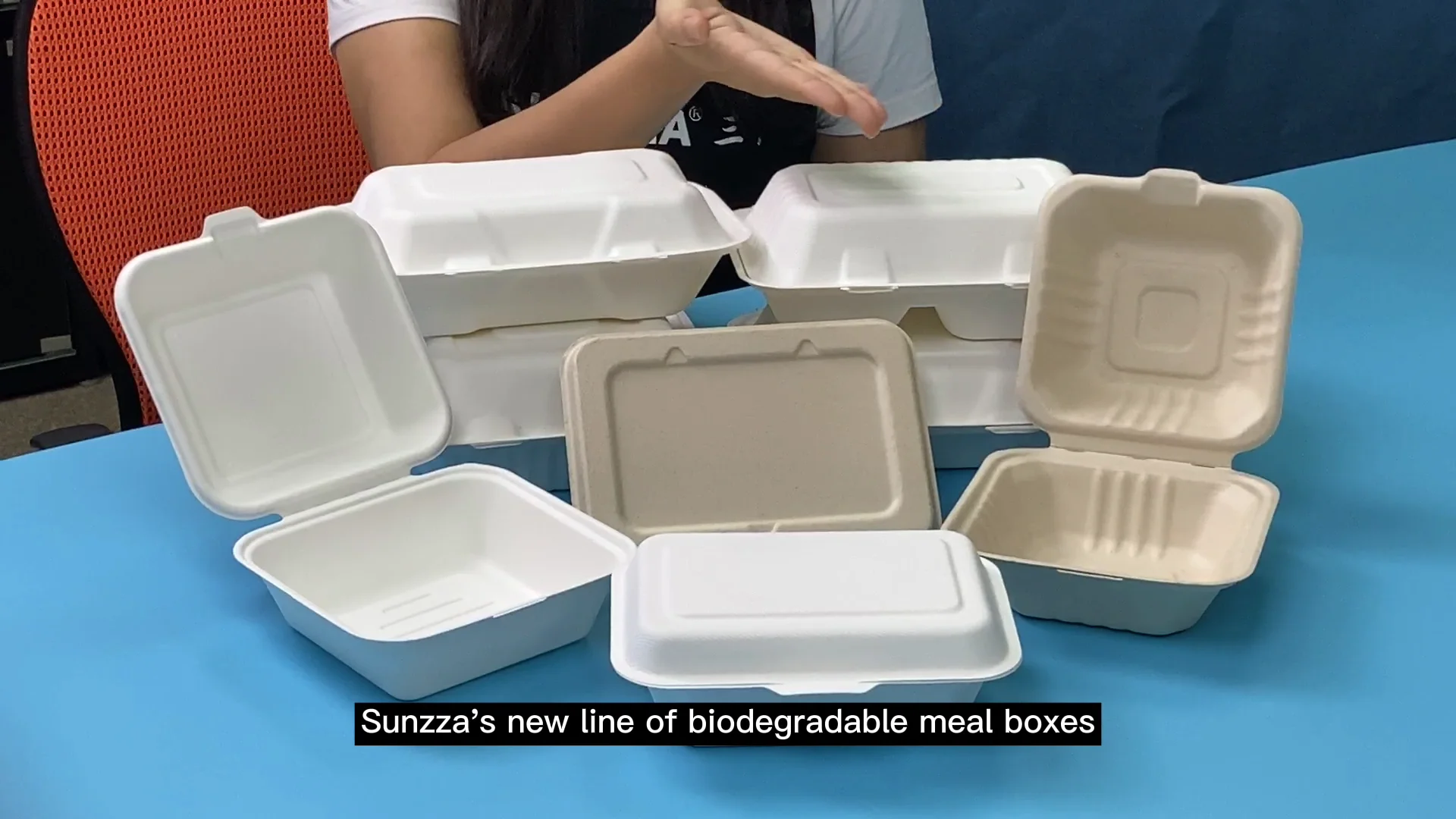 Sunzza Biodegradable Sugarcane Take Out Fast Food Packaging Box Food ...