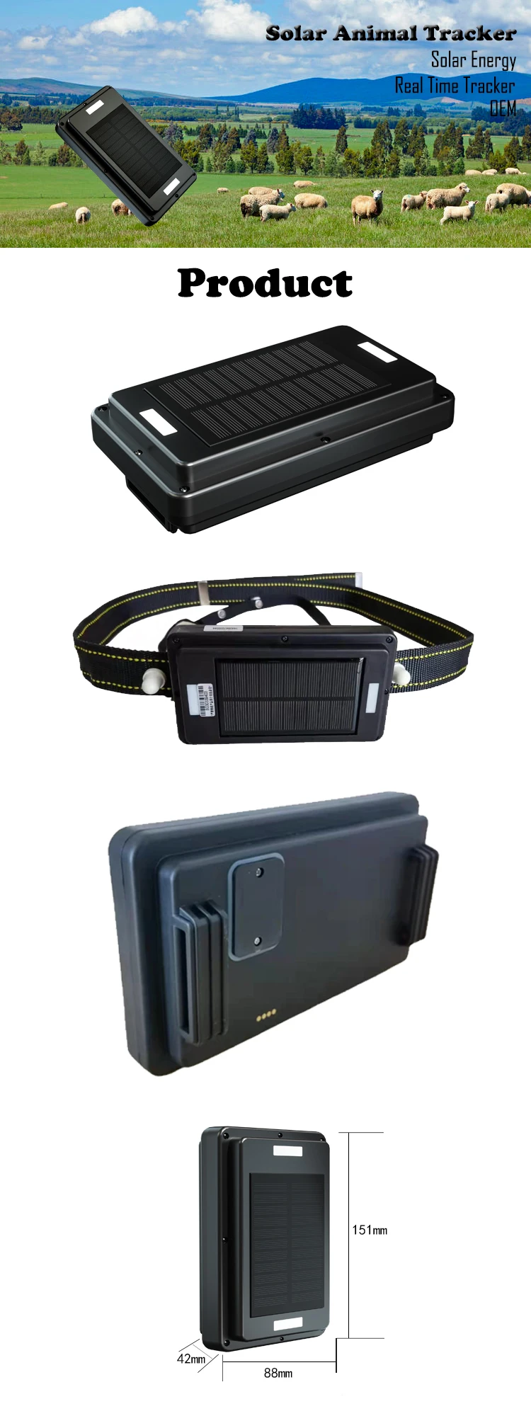 Solar Powered GPS Trackers for Cattle - Real Time Tracking