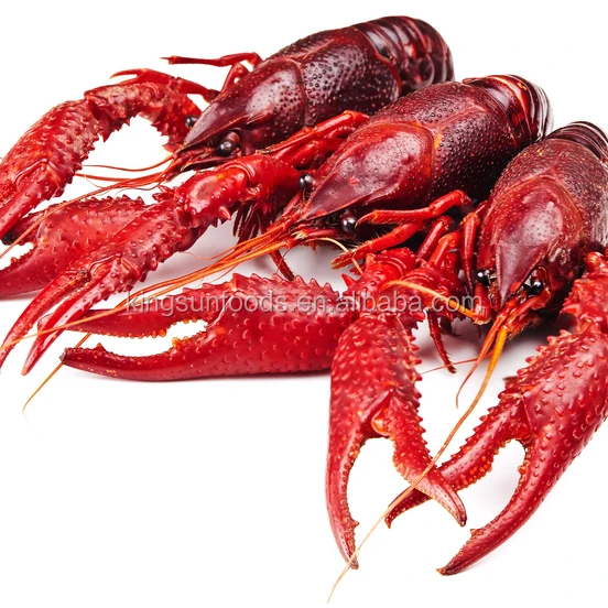 Frozen Whole Crawfish In Bulk Packaged For Sale Premium Lobsters - Buy ...
