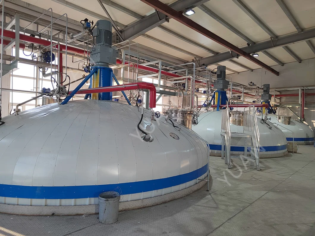 ISO Certified Citric Acid Production Machine - Low Consumption
