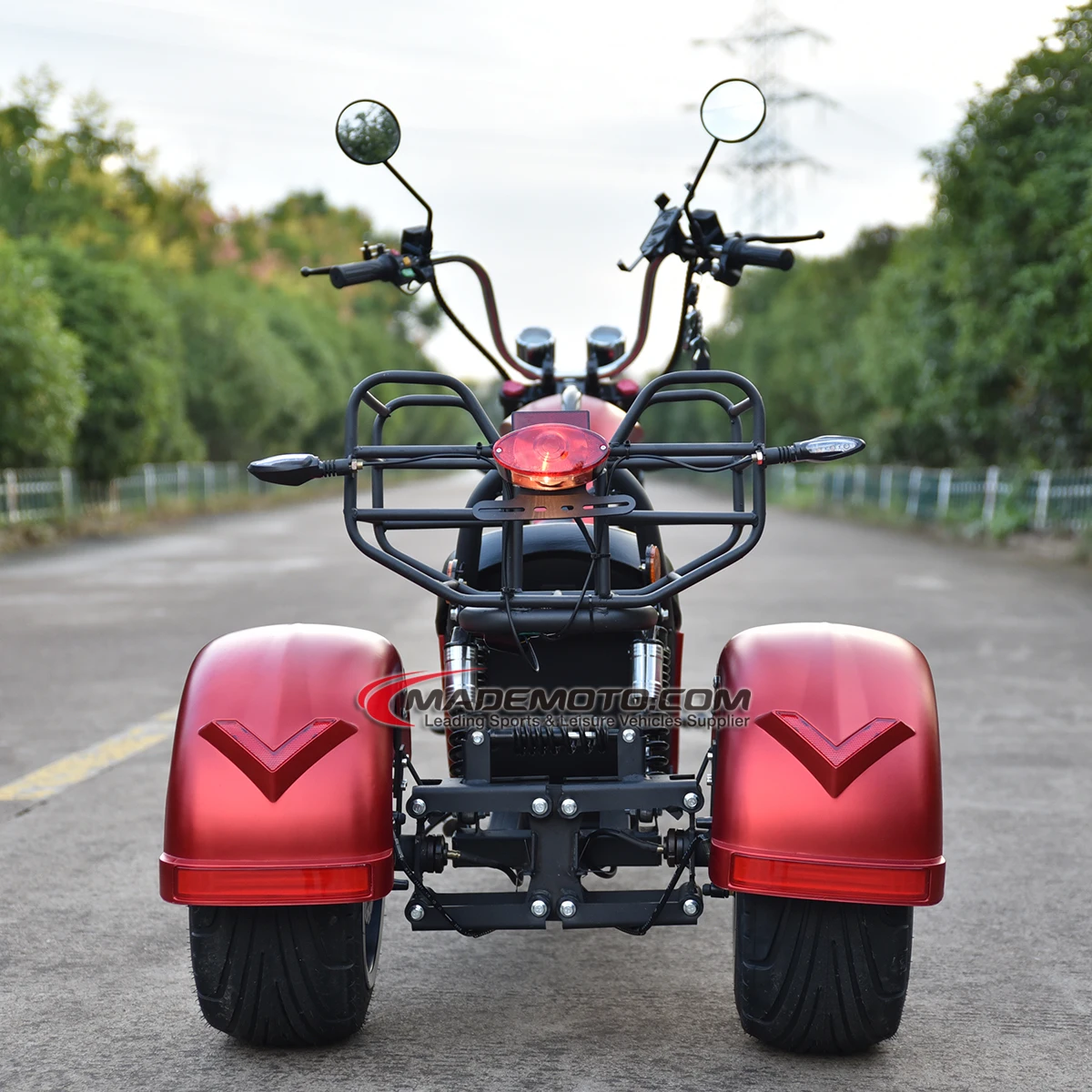 3 Wheel Electric Scooter Eec Electric Motorcycles Citycoco High Speed ...