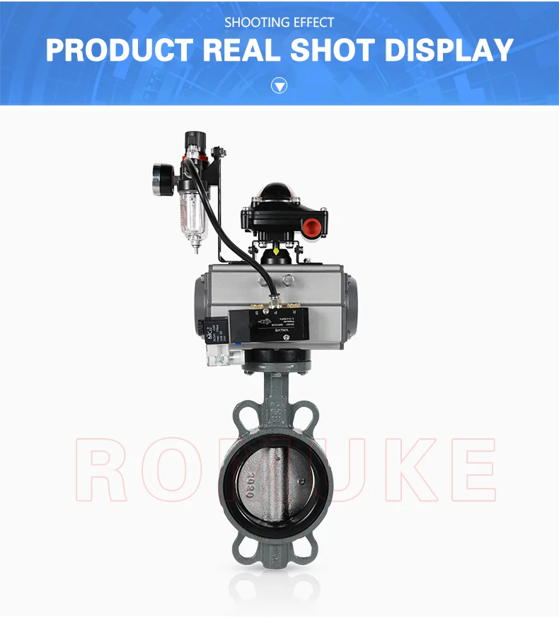 D671X-16C Pneumatic Butterfly Valve - Cast Steel & EPDM Seal