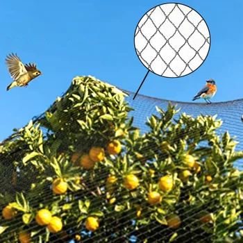 Commercial Invisible Hdpe Material Product Bird Mist Nets Anti Bird Net ...