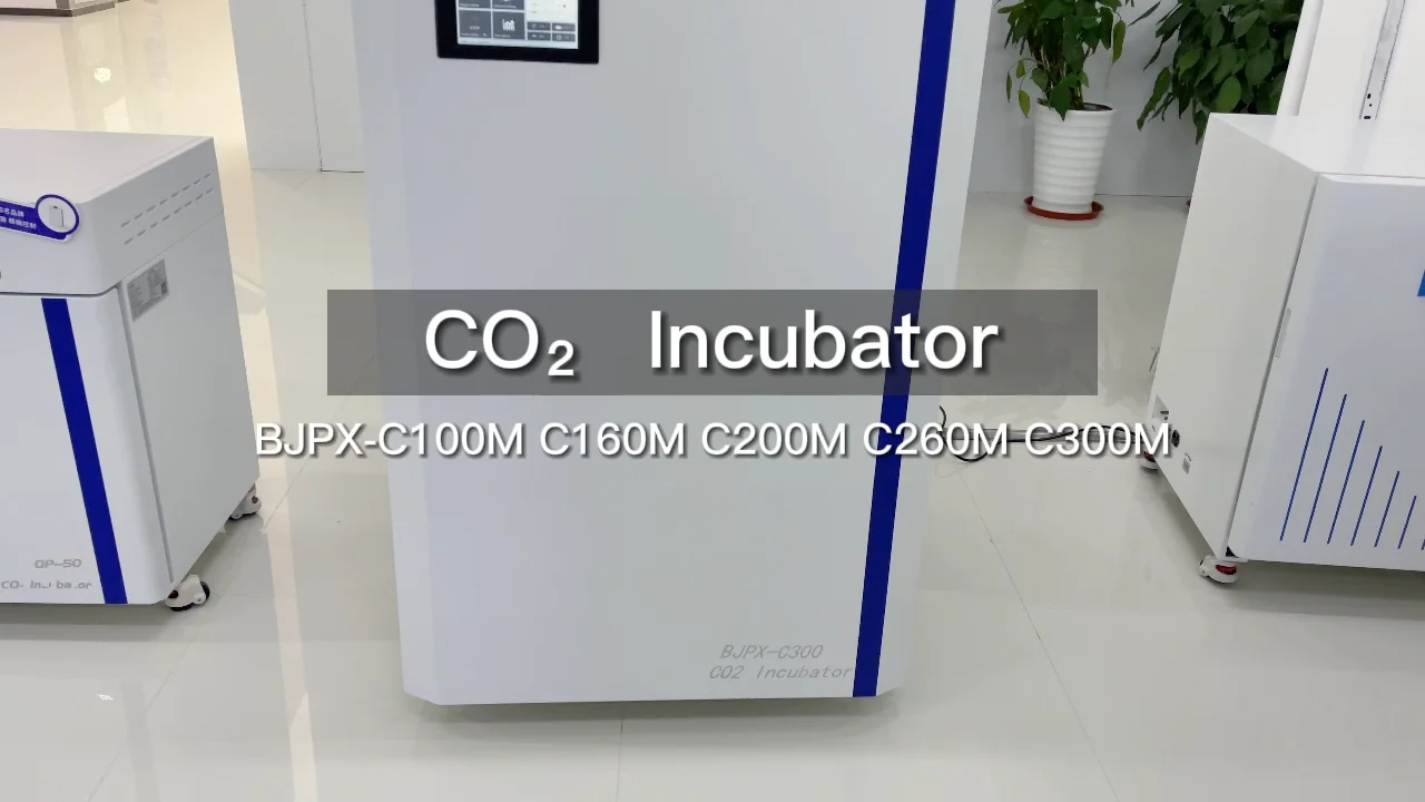 Biobase Incubator 50 Liters Lab Microorganism Air Jacket Culture Co2 ...
