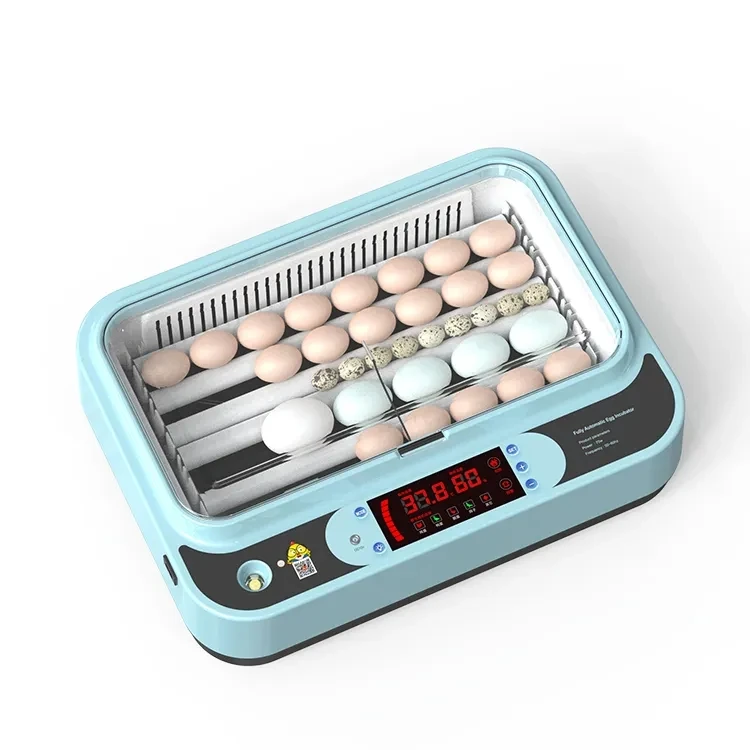 Automatic Egg Incubator Transparent Window Incubator 64 Egg Incubator ...
