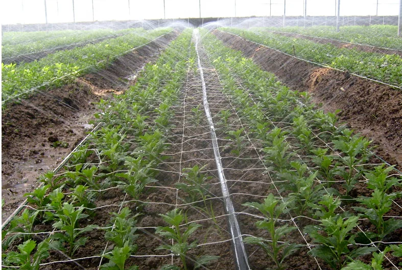 Agricultural Rain Hose Irrigation System - Efficient & Durable
