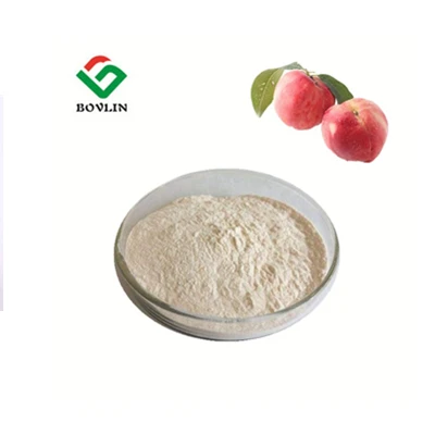 Wholesale Honey Peach Fruit Juice Powder Peach Powder Peach Fruit ...