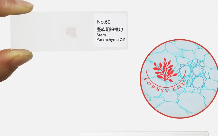 Botany+animals Prepared Slides - Educational Microscope Sets