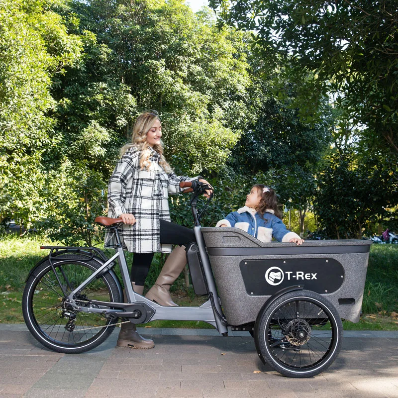 Three Wheels Adult Cargo Electric Tricycle Bike Epp Box Electric Cargo ...