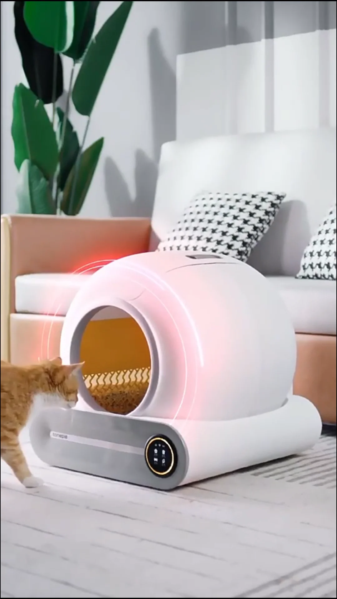 Automatic Cat Litter Box Smart App Control Self Cleaning Litter Boxes ...