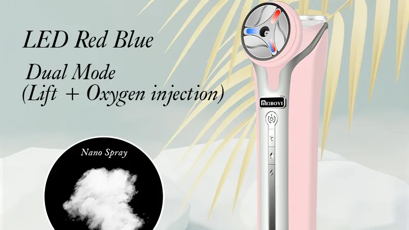 Ems Galvanic Beauty Devices Home Ionic Spa Machine Face Steamer Facial Spa - Buy Facial Steamer ...