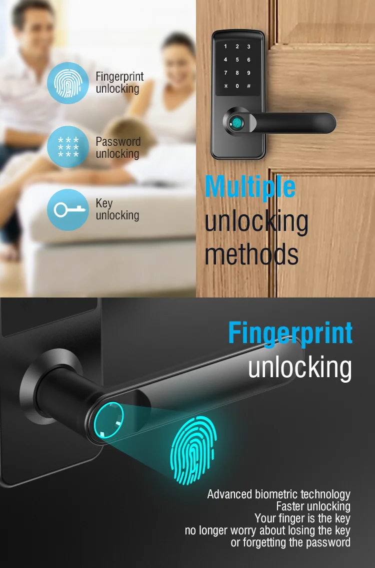 Te'an Aluminum Smart Fingerprint Hand Lever Lock Electronic Key ...