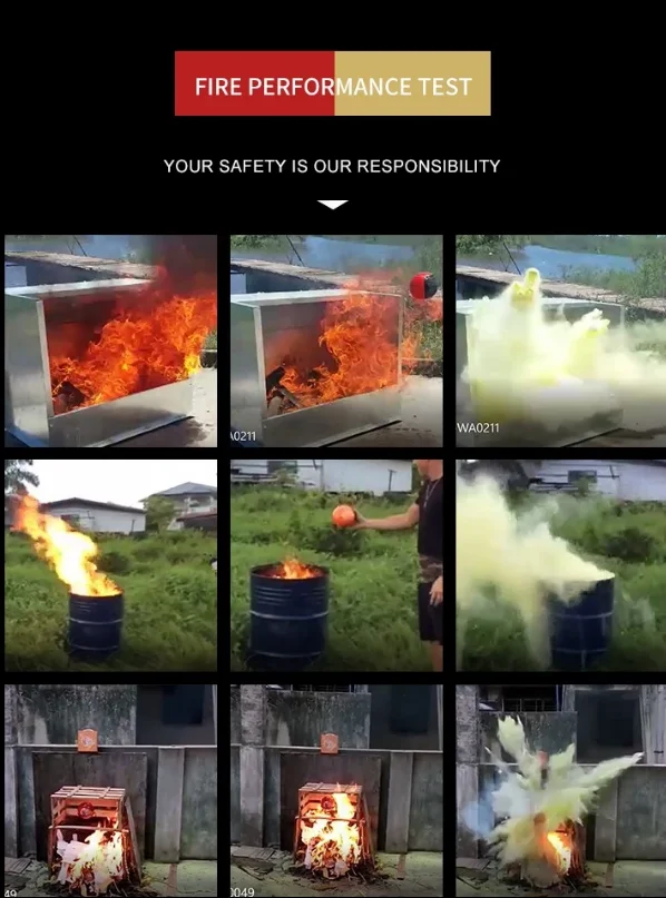 Eferas Type 1.3kg CO2 Fire Extinguisher Dry Powder Ball Fire ...