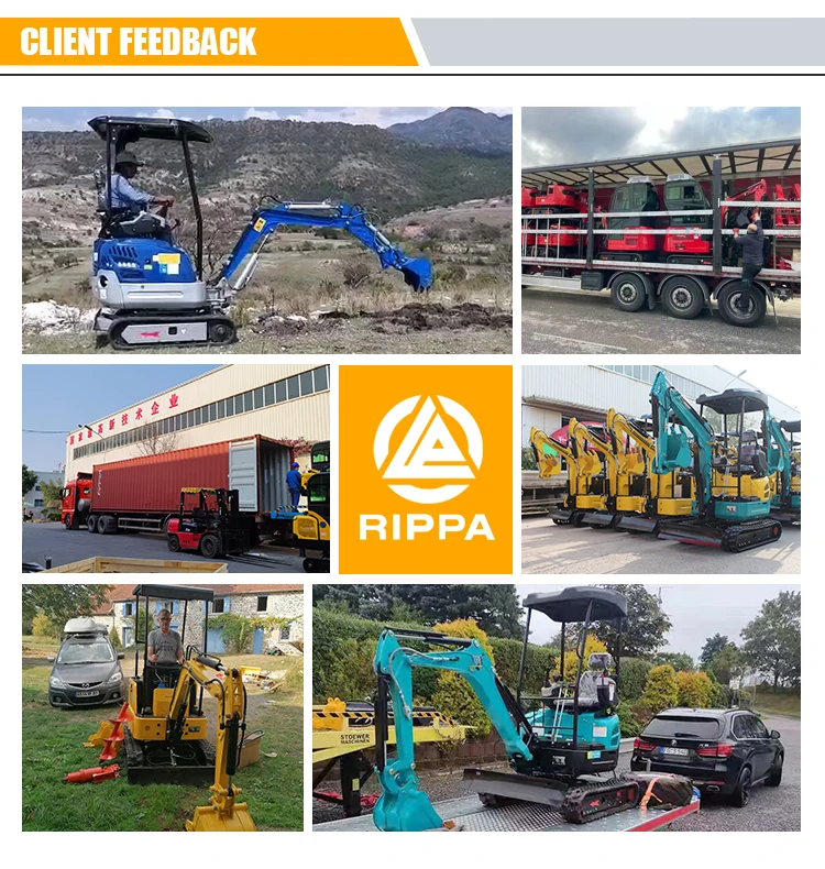 Rippa R319 Mini Excavator - Hydraulic Crawler Excavator
