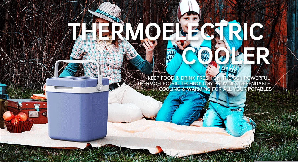 Thermoelectric Cooler 12v Cooler Box 27/24 Liter Compact Mini Car ...
