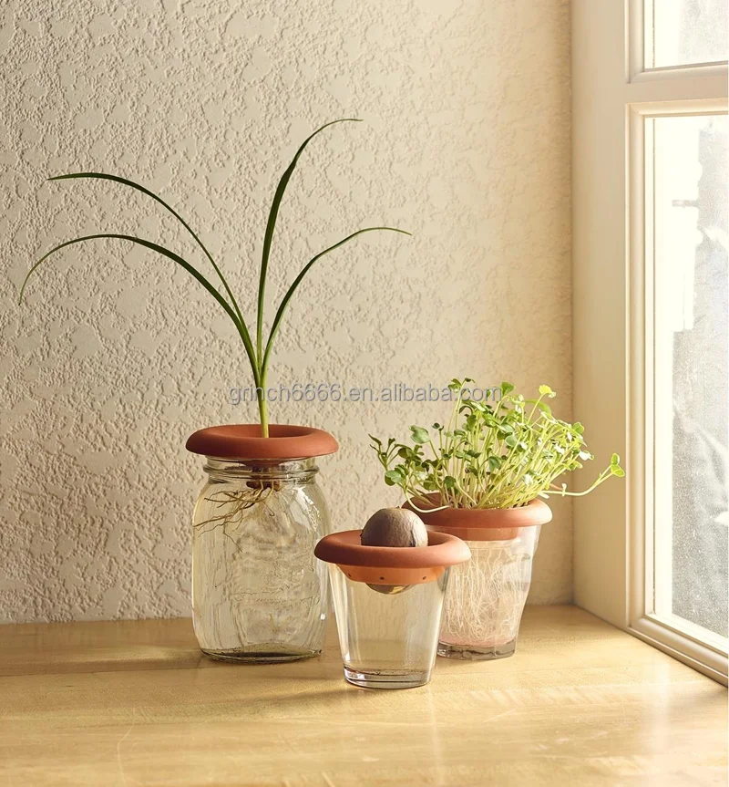 Terracotta Avocado Seed Sprouters - Propagation Vases