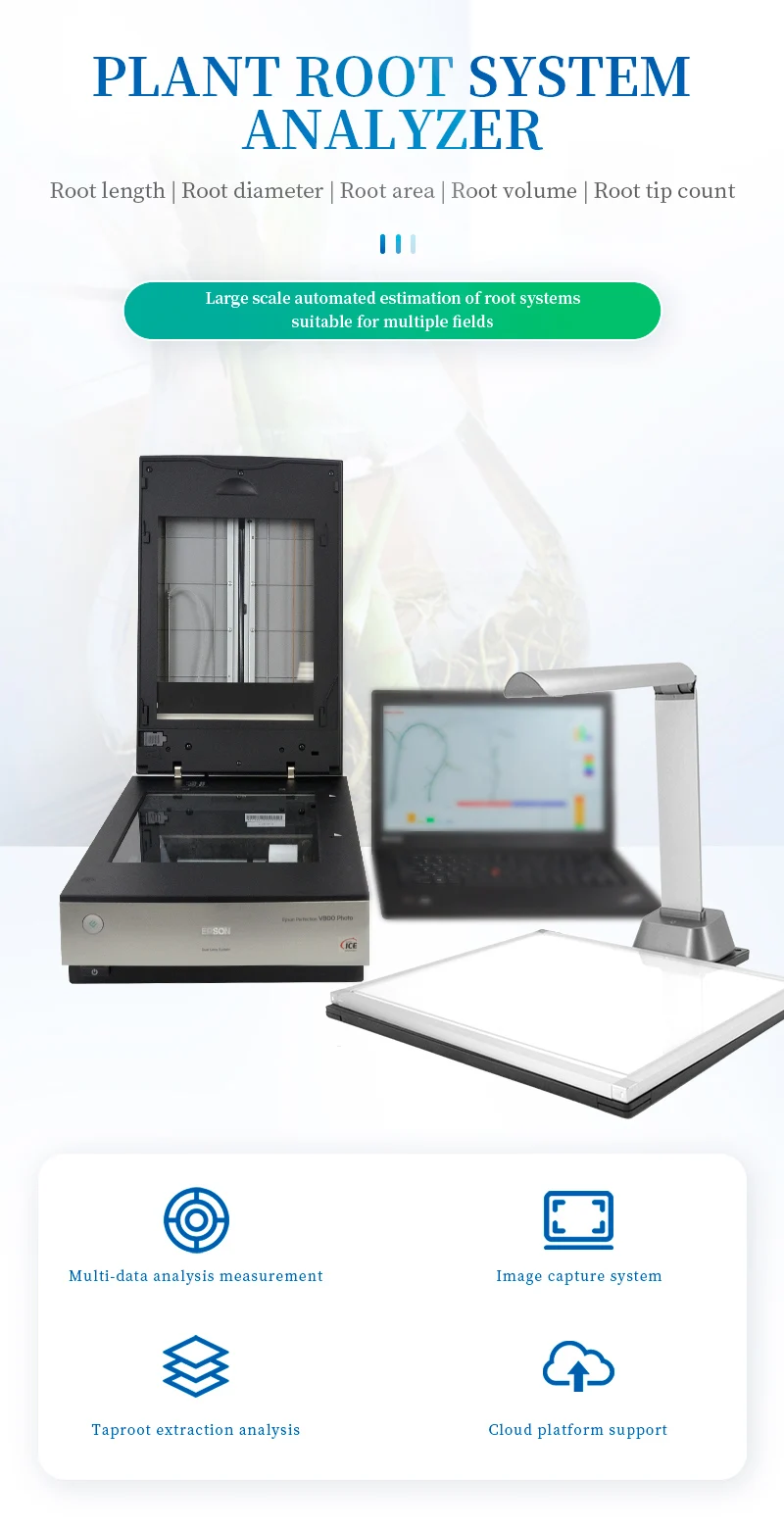 Plant Root Phenotype Analysis Device Leaf Thickness Gauge Plant Root ...