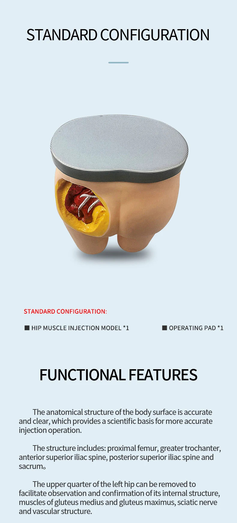 Intramuscular Injection Model Nursing Model Human Buttocks Nursing ...