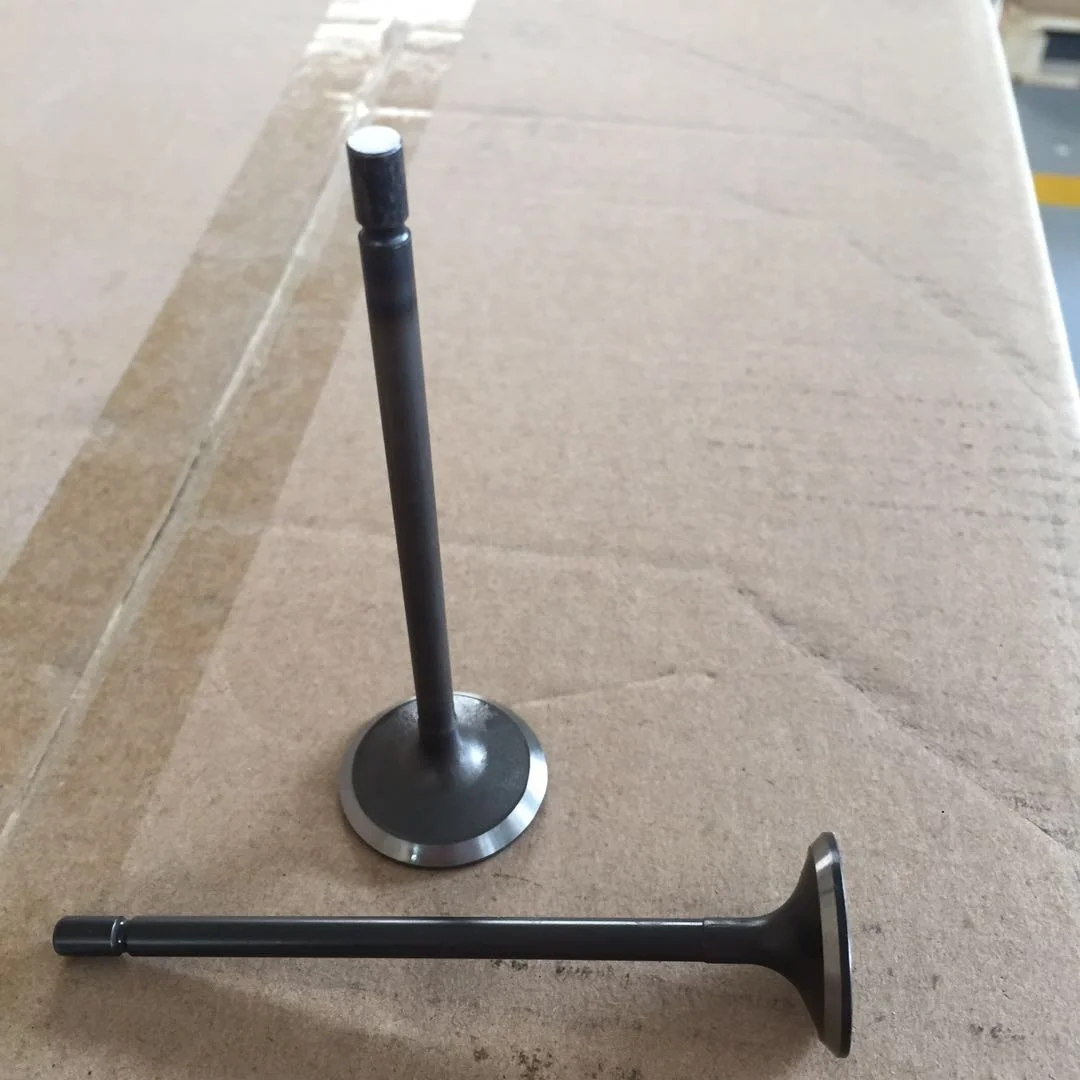 Engine Valve Parts for K4M K4J OEM 7701471379 7701471378