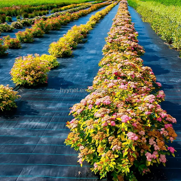 Heavy Duty Weed Barrier Landscape Fabric Woven Ground Cover Anti Weed ...