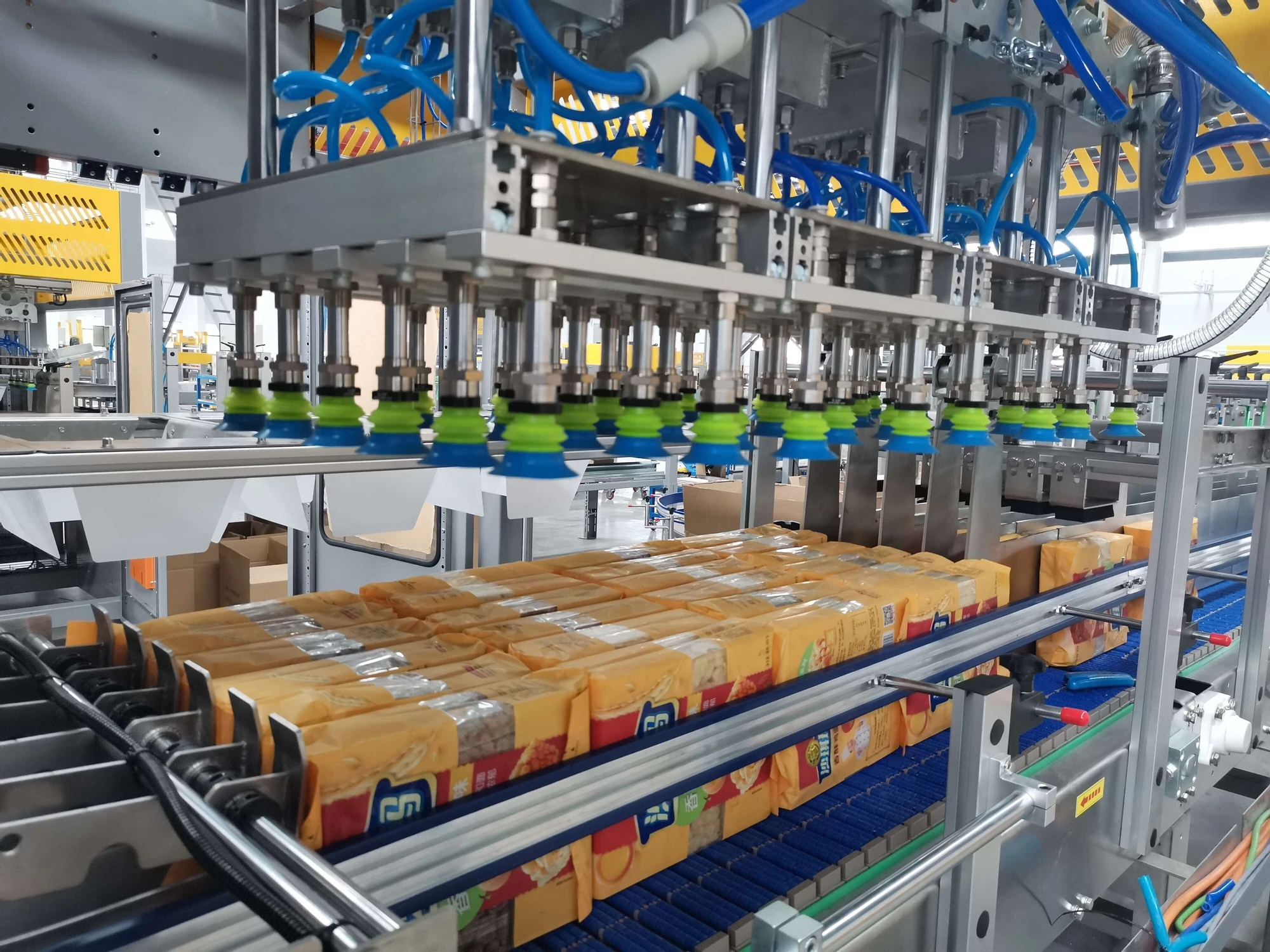 Pick and Place Top Load Automatic Case Packer - Long Life