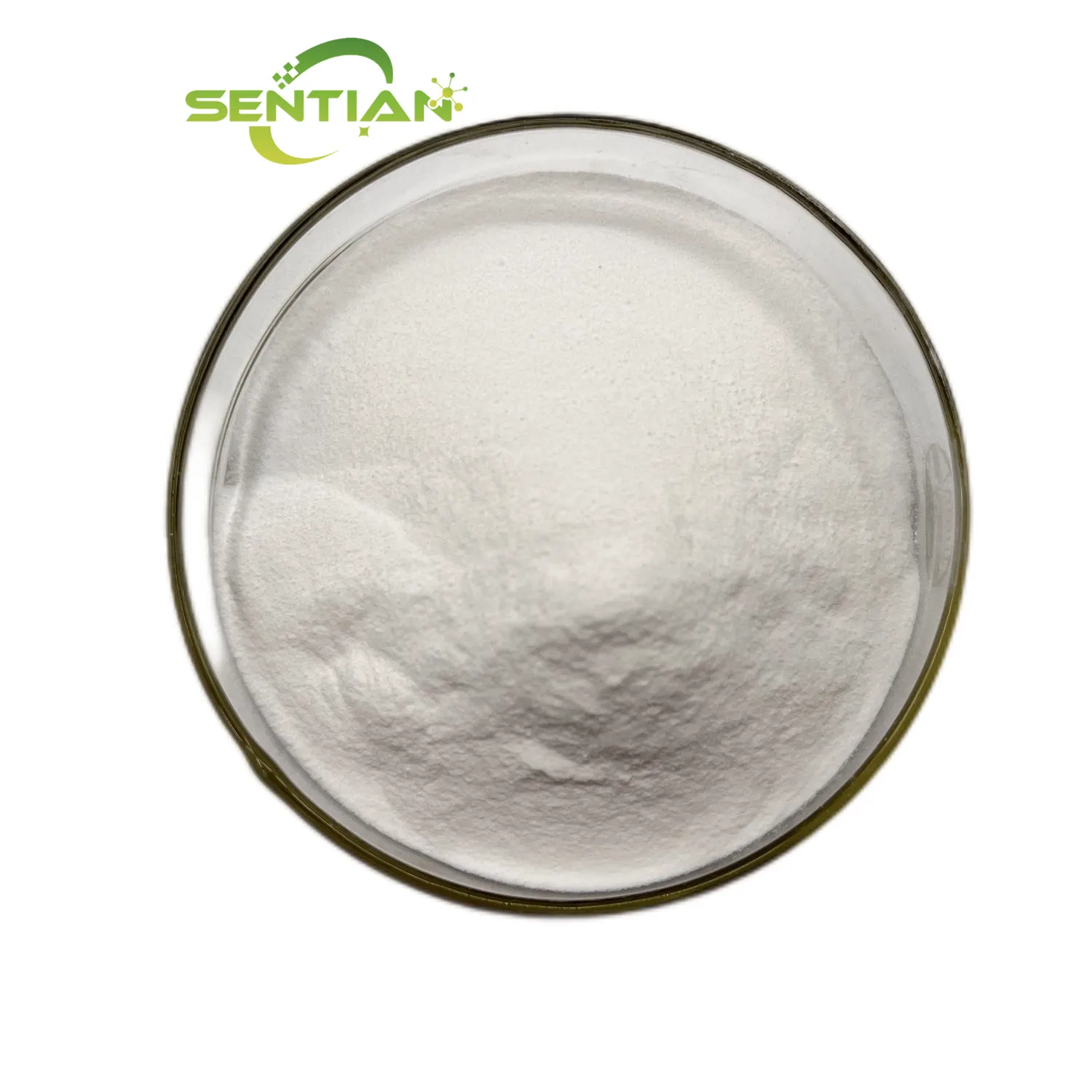 Probiotics Lactobacillus Bulgaricus Powder - Health Supplement