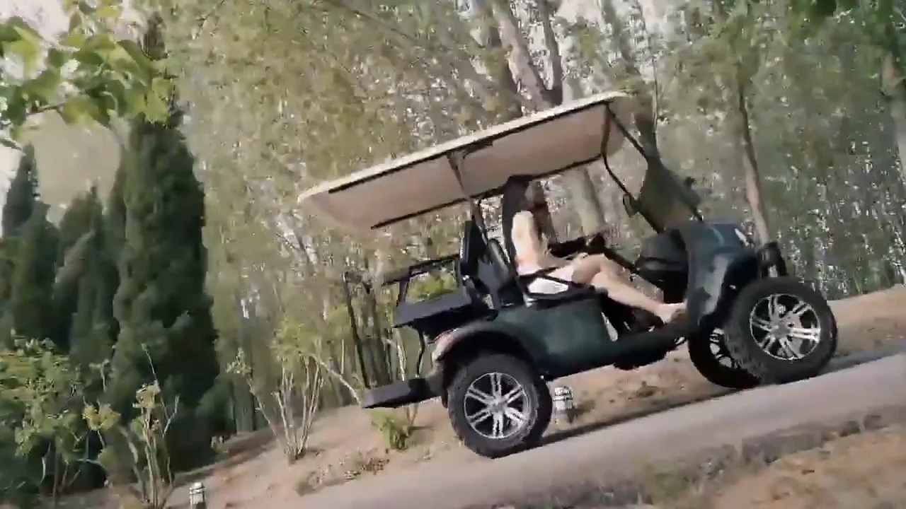 10 Passenger 12 Seat Electric Golf Cart Golf Buggies For Hunting ...