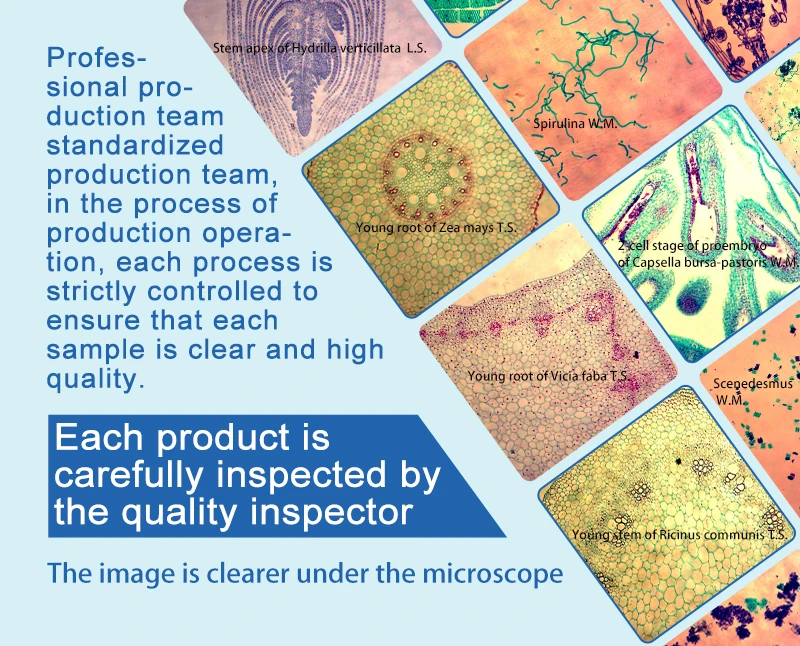 Medical Research Higher Education Biology Teaching Microscope Slides ...