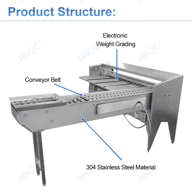 5 Row Lane Egg Sorter Scale and Grader Weigh Inspection 10000 Egg/hr ...