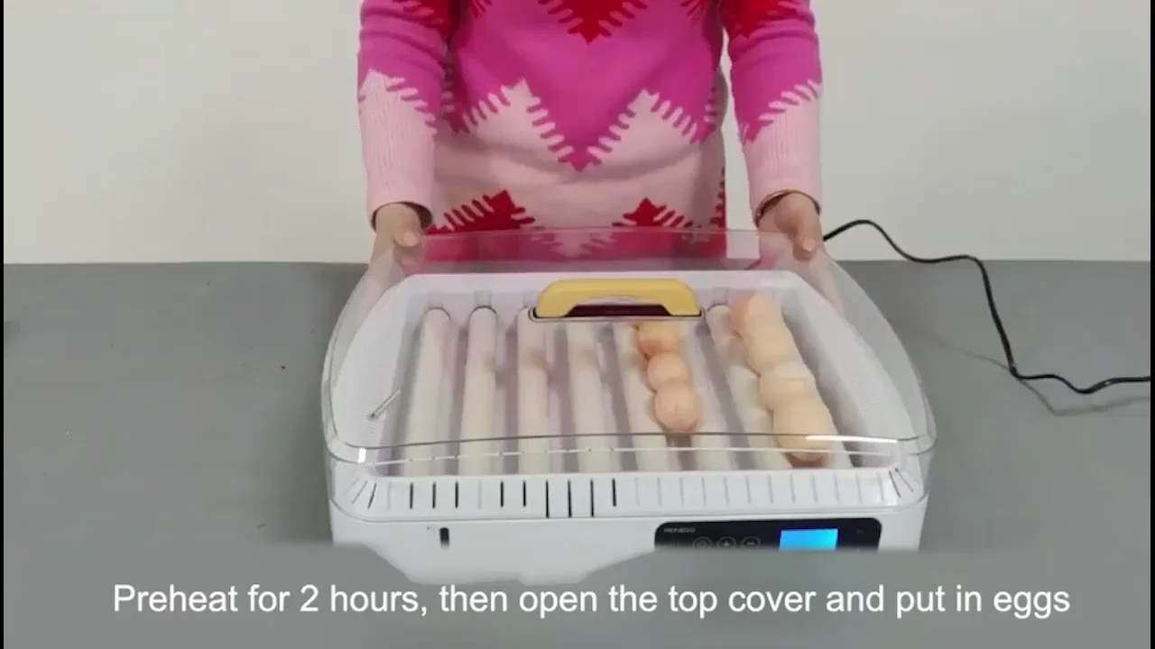 Small Fully Automatic Chicken Incubator Egg Hatching Machine Egg ...