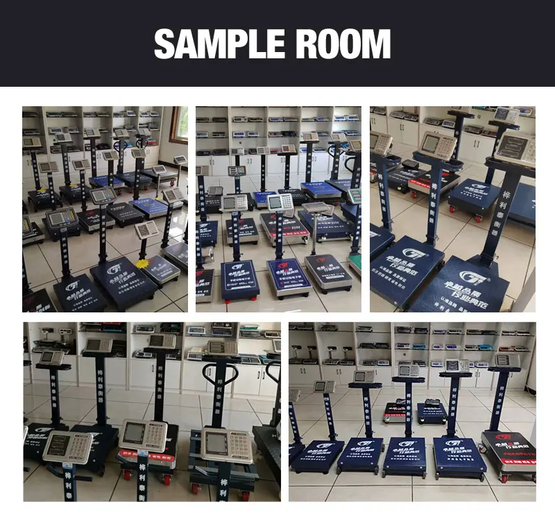 TCS Weighing Apparatus - Precision Scales for Grain