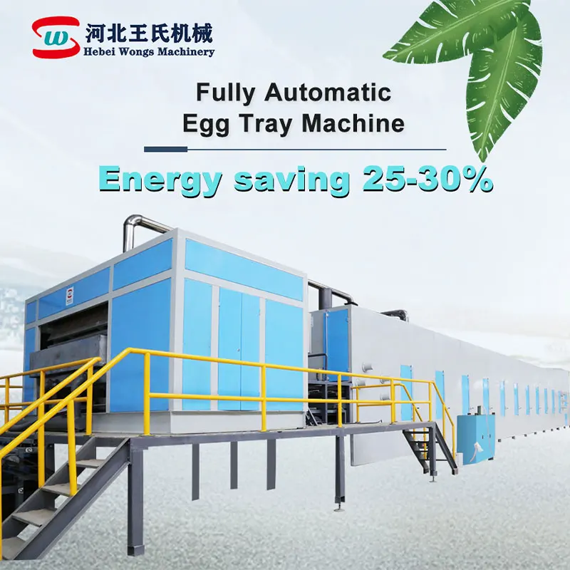 2024 Small Scale Egg Crate Making Machine Price & Details