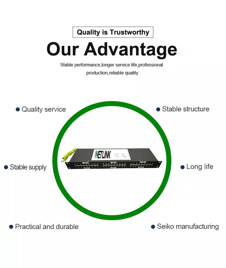 RJ45 Ethernet Cat6 Surge Protector - 24 Port Rack Mounted