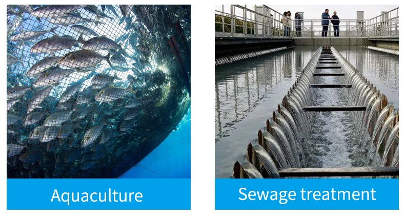 Roots Blower - High Pressure Direct Drive for Cement Plants